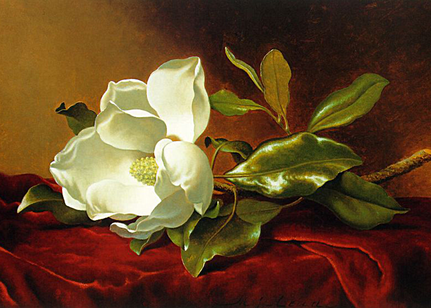 Art of Martin Johnson Heade on Clothing, Mugs and Stationary ...